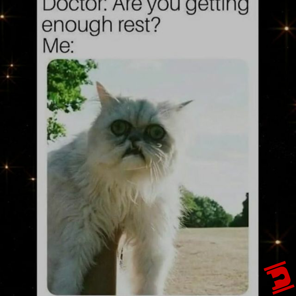 54 Can't Sleep Memes: Insomnia Can Be Funny | DILEMMAS
